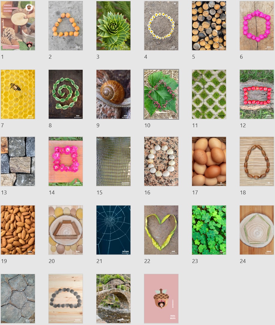 Formas Geométricas da Natureza – Download – Maria Bolota